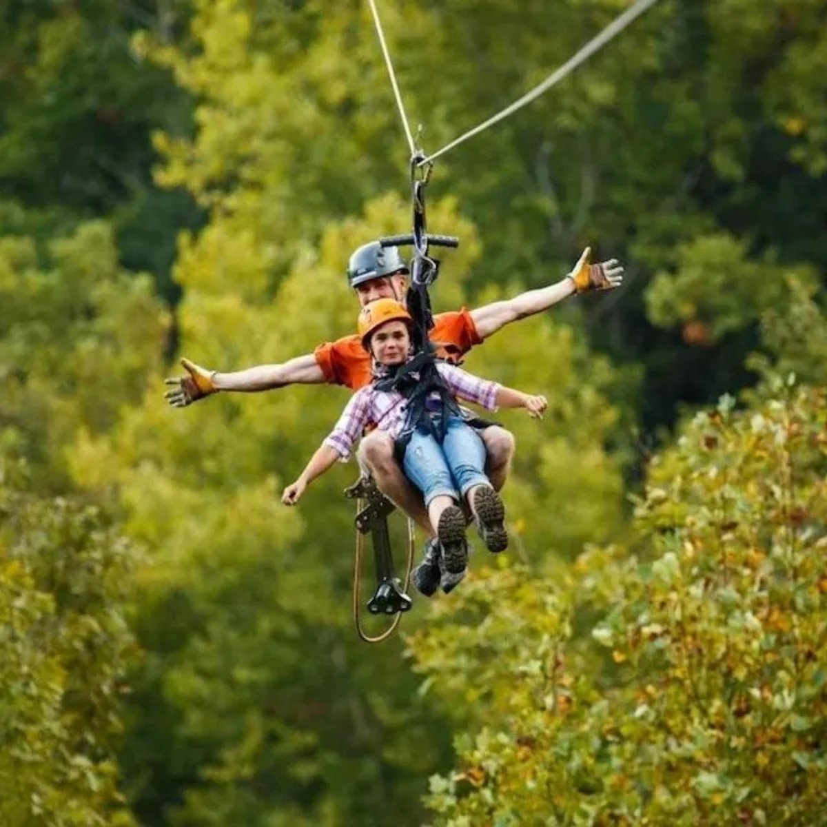 Foxfire Mountain Adventure Park: Zipline & Aerial Activities