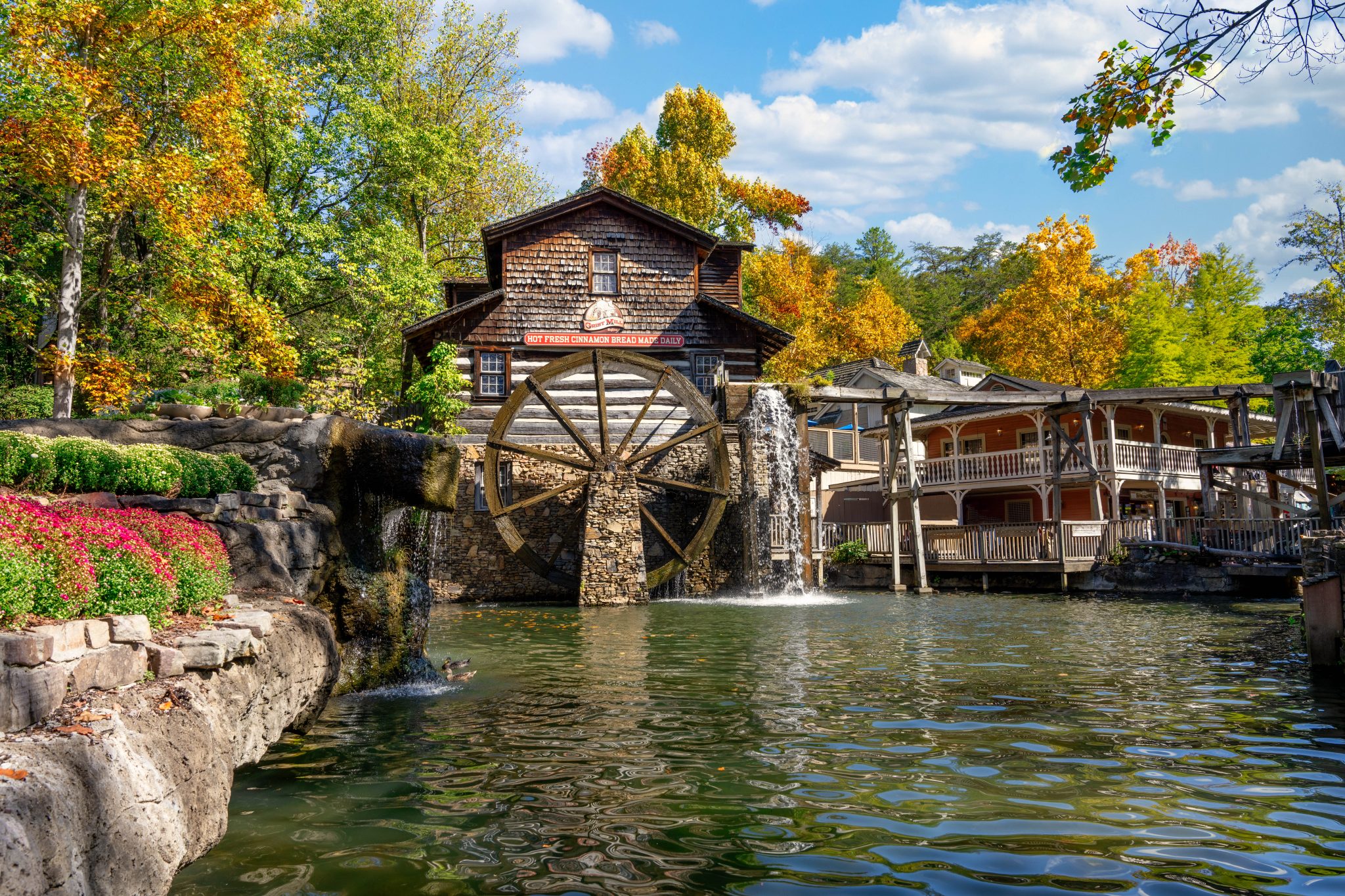 Fall Colors in Smoky Mountains | When & Where to Go