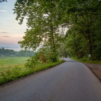 Cades Cove Loop Road: Go on a Scenic Drive in the Smokies